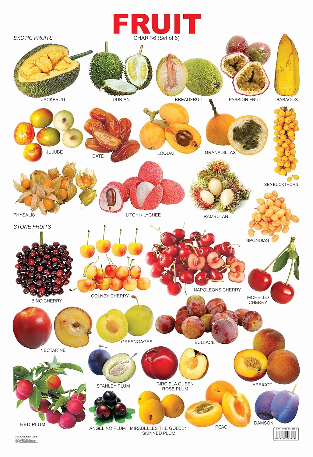 Fruit Chart 6 Educational Wall Chart For Kids